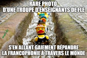 FLM, FLS, FLE, FOS, FLSco, FOU… Qu’est-ce que c’est